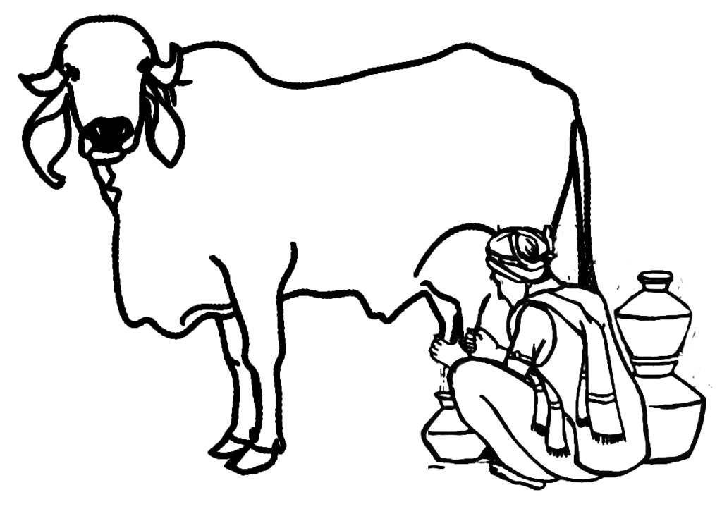 Ayurveda & Ghee – Shraddha Ghee